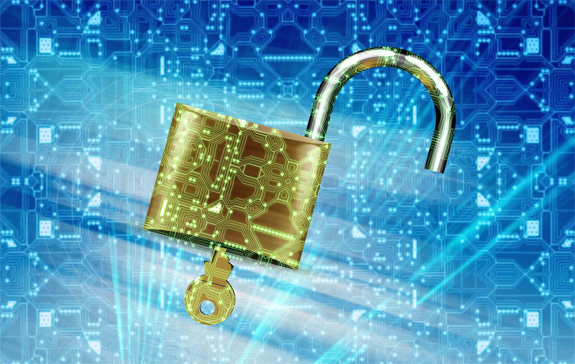 Data Protection Commissioner v. Facebook Ireland Ltd (Schrems II ...